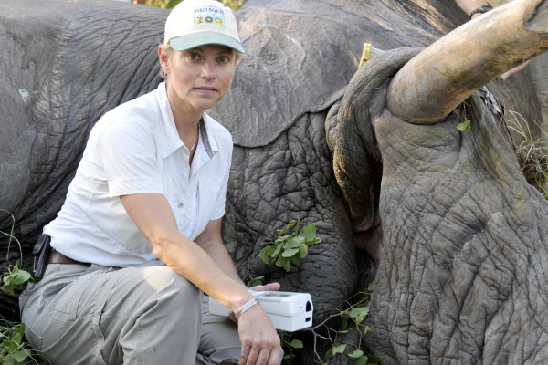 Spotlight: Dr. Michele Miller on TB in Wildlife – Part One | Working ...