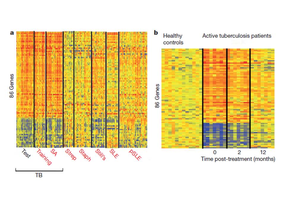 This Week in TB R&D – 24 August 2010 | Working Group for New TB Drugs